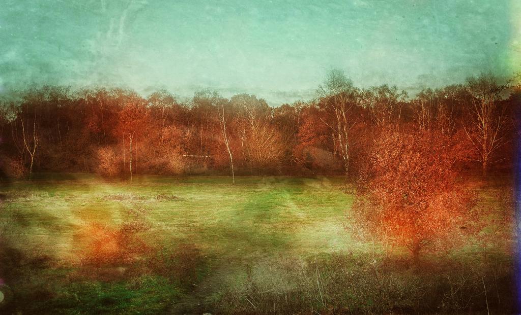 How to read Romantic poetry (I): William Wordsworth’s ‘Tintern Abbey ...